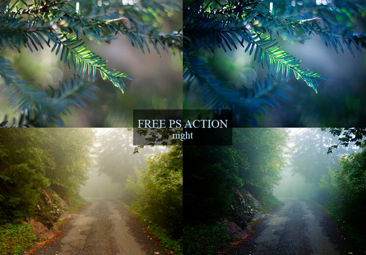 Photoshop Night Actions