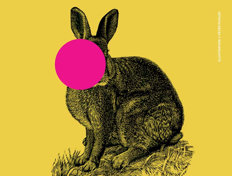 »illu 14« geht in die zweite Runde