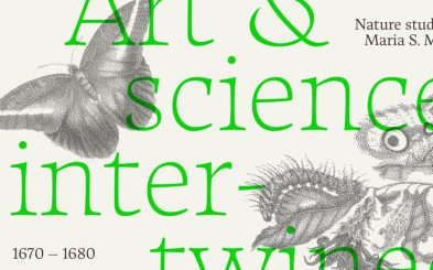 Font-Manager: Schriftarten verwalten auf Mac und Windows